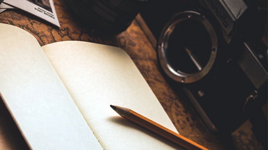 Bird Journal | Crafts for Kids | PBS KIDS for Parents