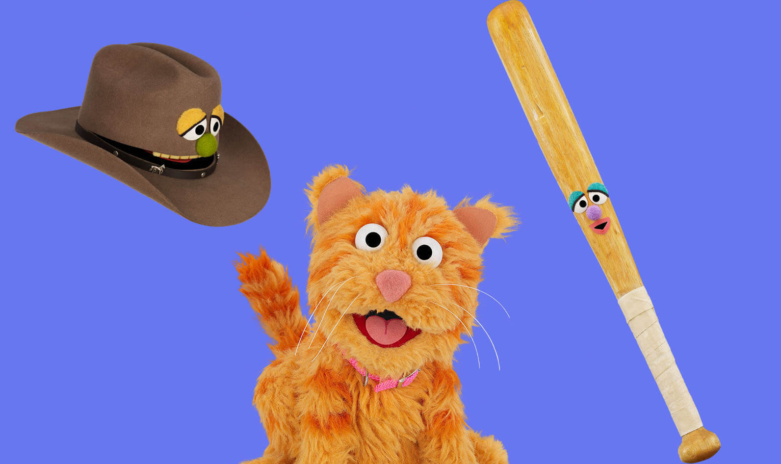 Sesame Street Cat Children's DVD Lot (Sesame Street, Cat In The Hat,