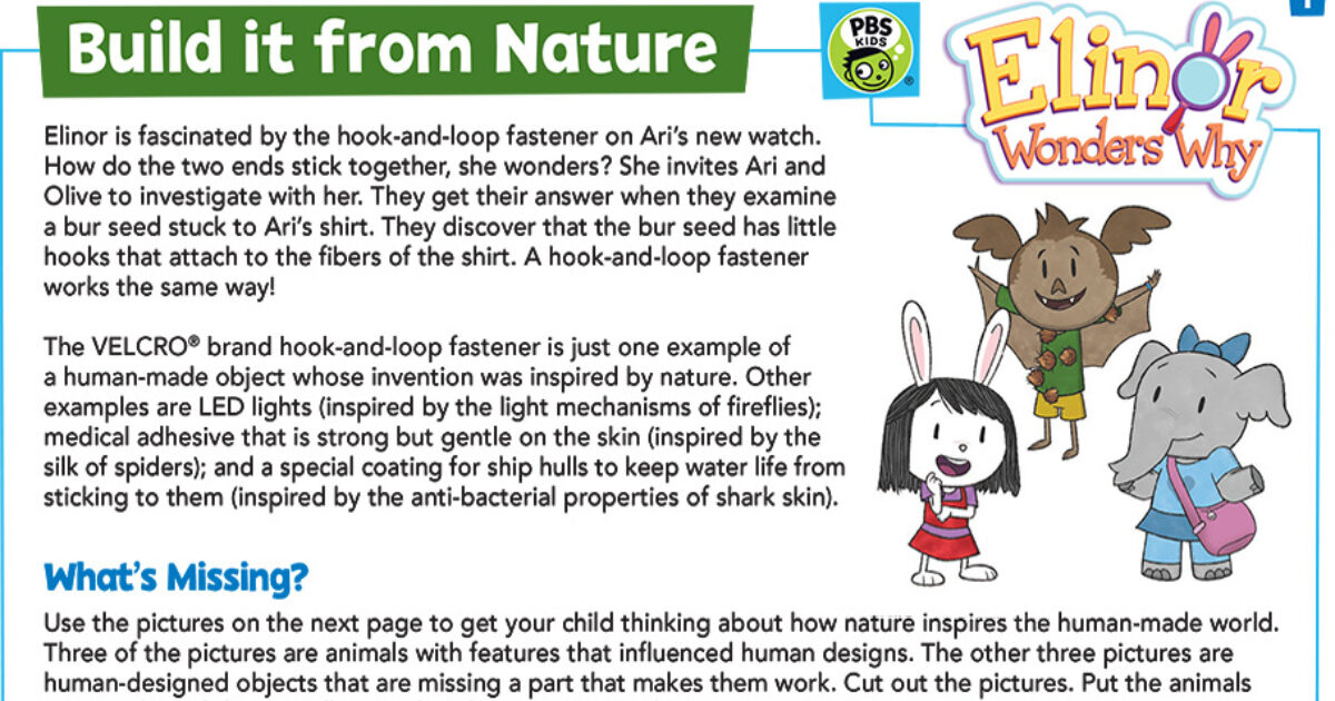Build It From Nature | Kids Coloring Pages | PBS KIDS for Parents