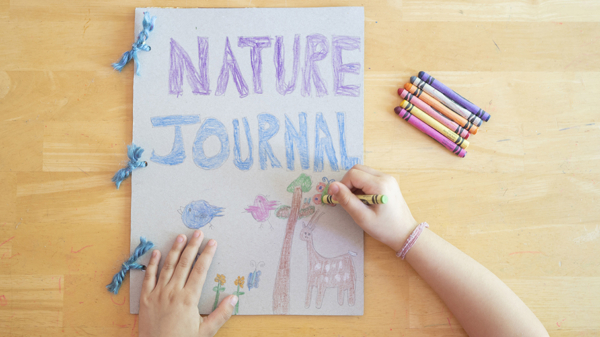 Observing Nature | PBS KIDS for Parents