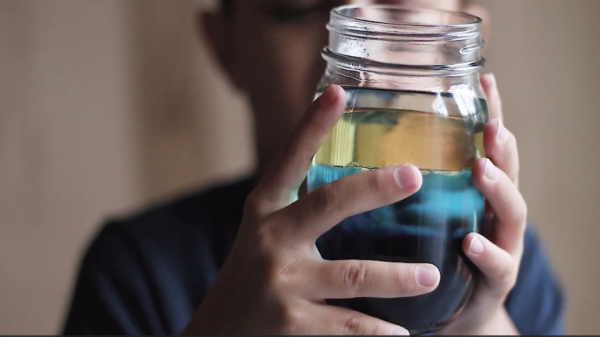 Make Ocean Zones in a Jar | Crafts for Kids | PBS KIDS for Parents