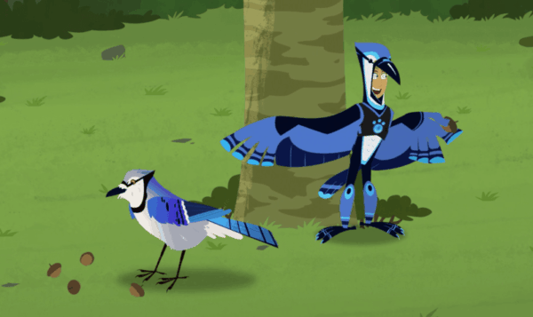 Science: Exploring Animals at Age 6 |… | PBS KIDS for Parents