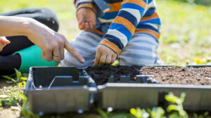 Observing Nature | PBS KIDS for Parents