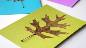 Thanksgiving and Gratitude Crafts for Kids |… | PBS KIDS for Parents
