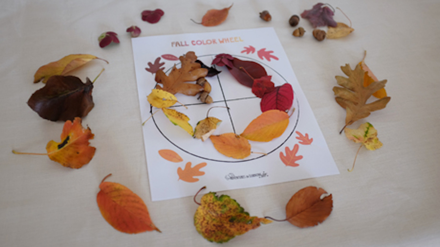 Explore Nature's Colors With a Color Wheel |… | PBS KIDS for Parents