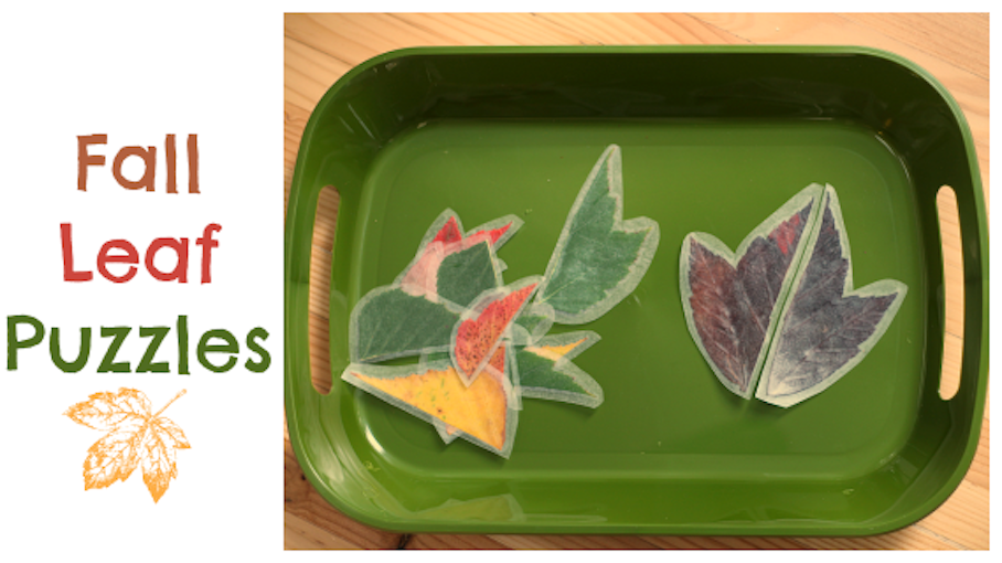 Find the Match: Simple Fall Leaf Puzzles |… | PBS KIDS for Parents