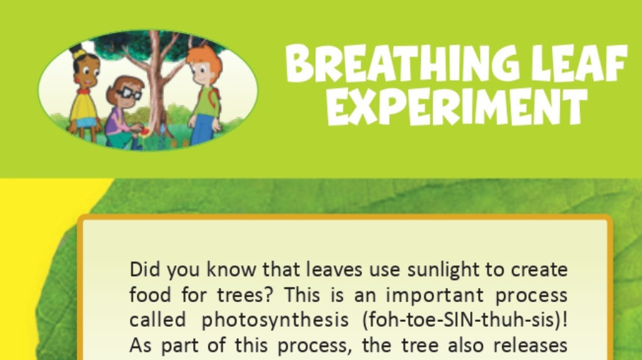 Breathing Leaf Experiment | Kids Coloring Pages | PBS KIDS for Parents