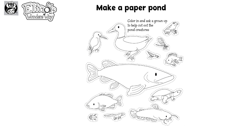 Make a Paper Pond | Kids Coloring Pages | PBS KIDS for Parents