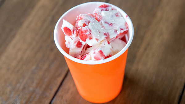 Donkey Hodie | PBS KIDS Shows | PBS KIDS for Parents