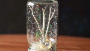 Celebrating Winter With Easy Ice Experiments | PBS KIDS for Parents