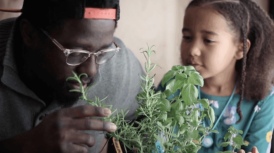 Grow an Herb Garden | Crafts for Kids | PBS KIDS for Parents