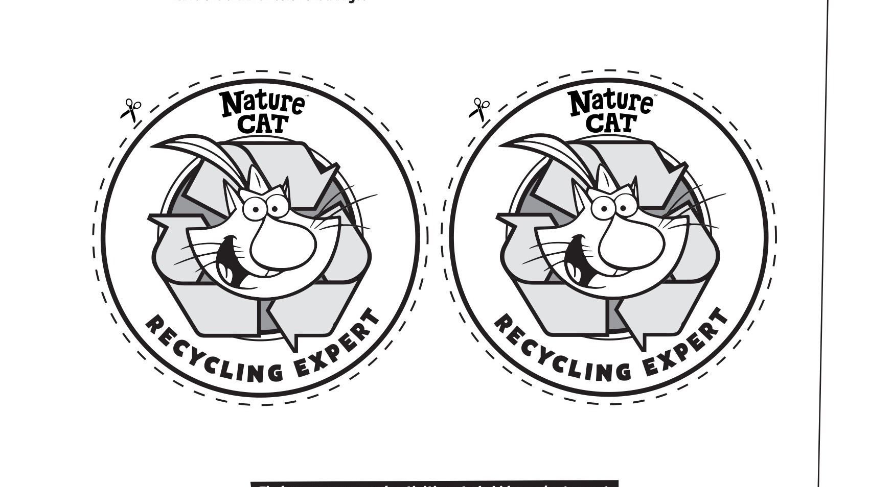 Nature Cat's Recycling Challenge | Kids… | PBS KIDS for Parents