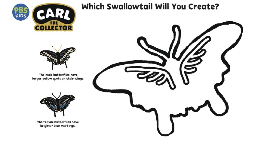 Which Swallowtail Will You Create? | Kids… | PBS KIDS for Parents