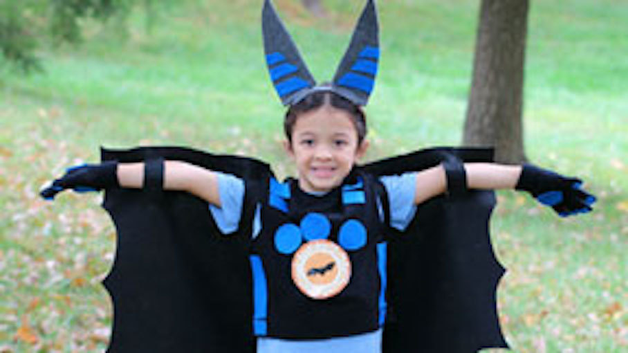 KIDS Costumes | Videos | PBS KIDS for Parents