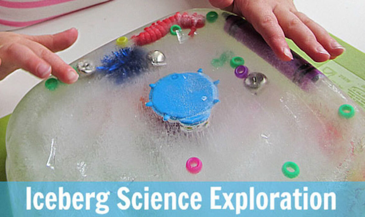 ¿Se hunde o flota? Experimento científico con… | PBS KIDS for Parents