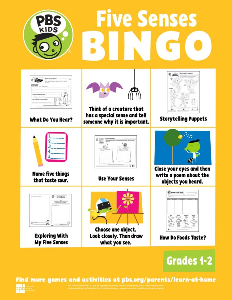 Learn Along Bingo for Ages 6-8: Five Senses |… | PBS KIDS for Parents