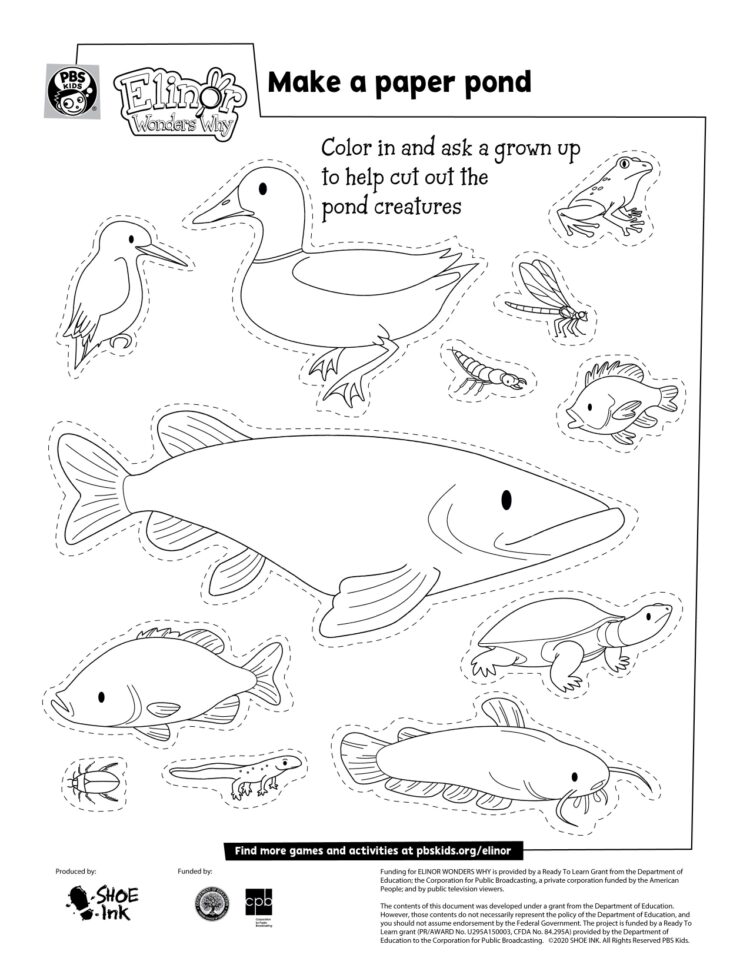 Make a Paper Pond | Kids Coloring Pages | PBS KIDS for Parents