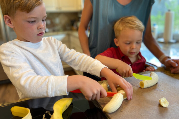 Descubran cómo hacer un helado casero: desde… | PBS KIDS for Parents