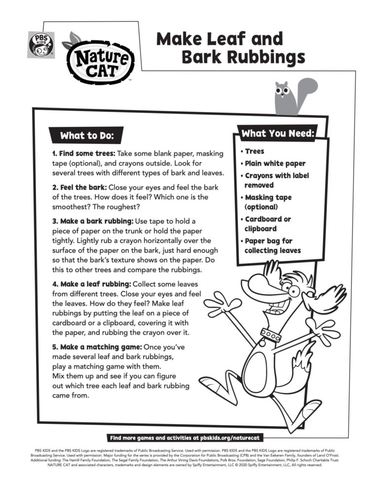 Make Leaf and Bark Rubbings | Kids Coloring… | PBS KIDS for Parents