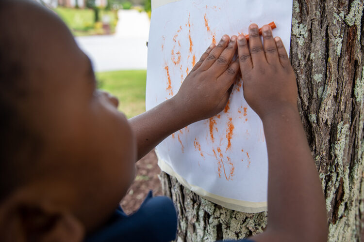 Make Leaf and Bark Rubbings | Crafts for Kids | PBS KIDS for Parents