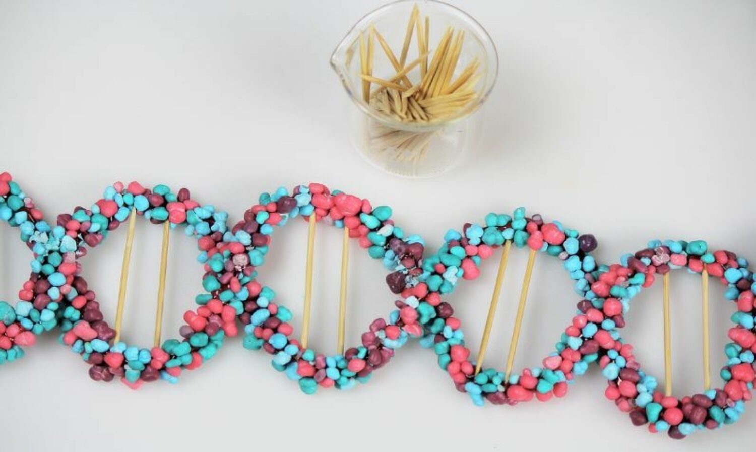 Science Party Candy Rope Double Helix | Recipes | PBS KIDS for Parents