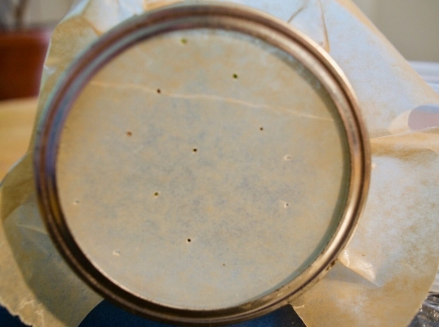 Build a Bug Box | Crafts for Kids | PBS KIDS for Parents