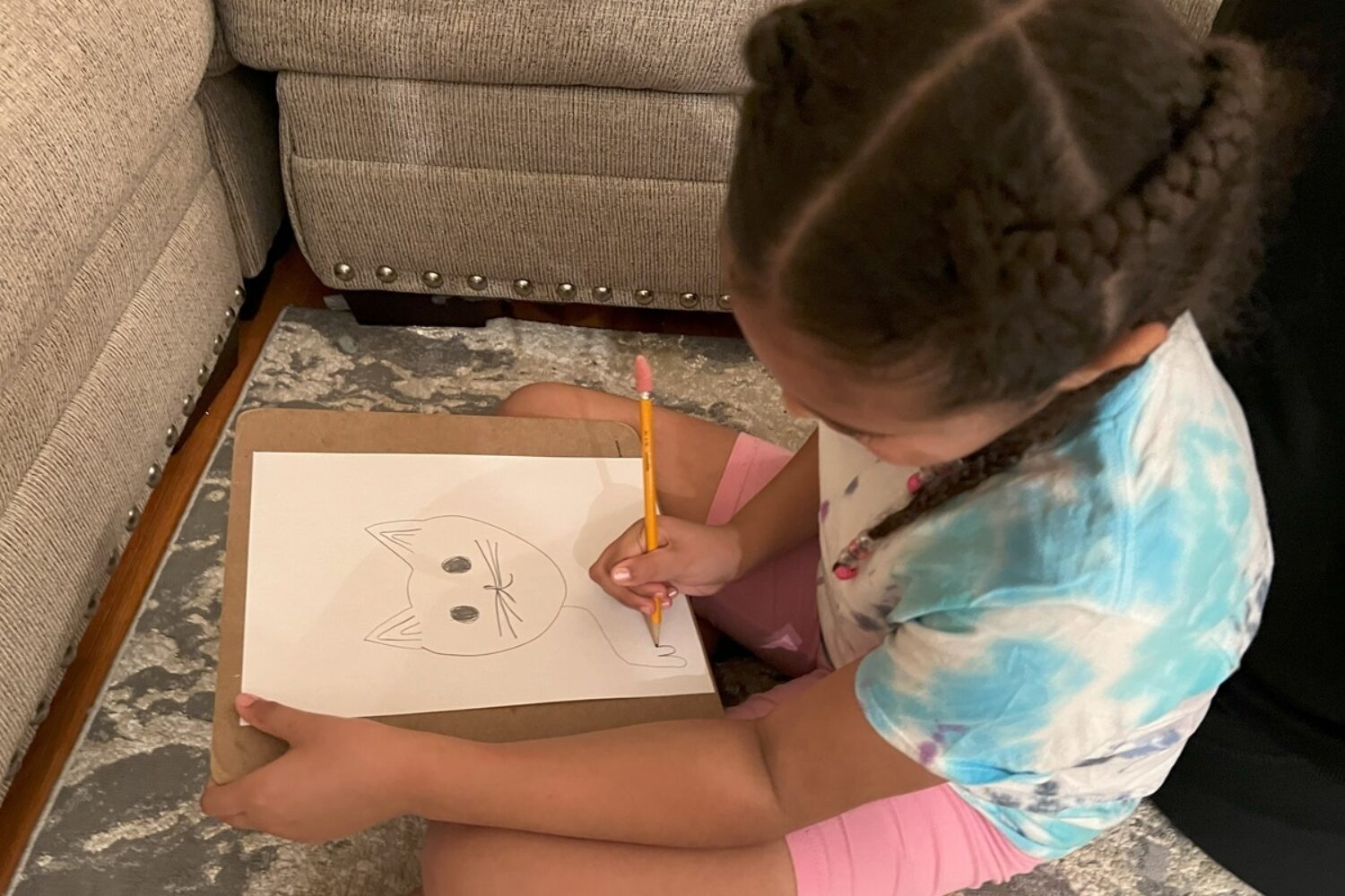 Can You Draw What I Describe? A Partner… | PBS KIDS for Parents