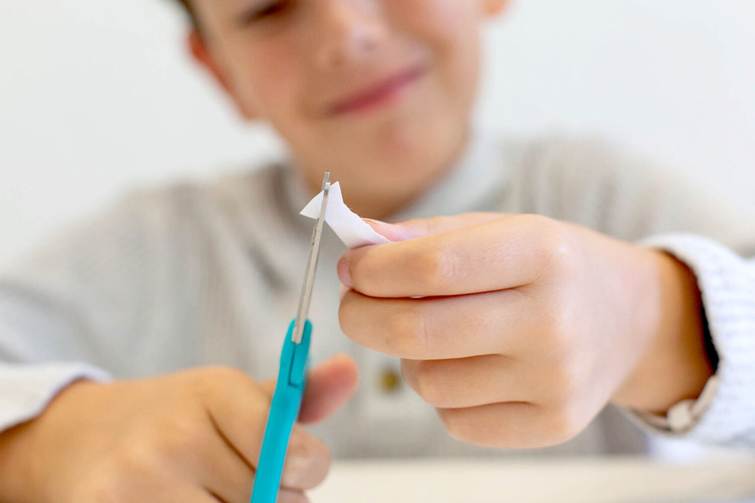 Make a Puppet: Daniel Tiger, Miss Elaina, and… | PBS KIDS for Parents