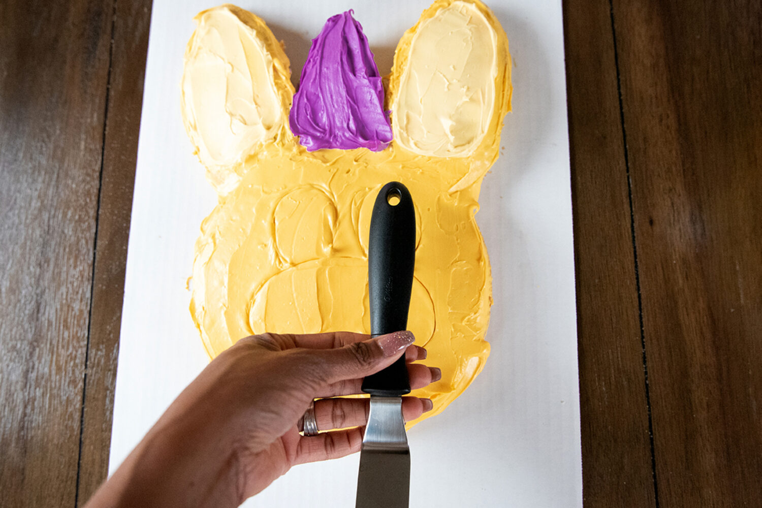 Donkey Hodie Birthday Cake | Recipes for Kids | PBS KIDS for Parents