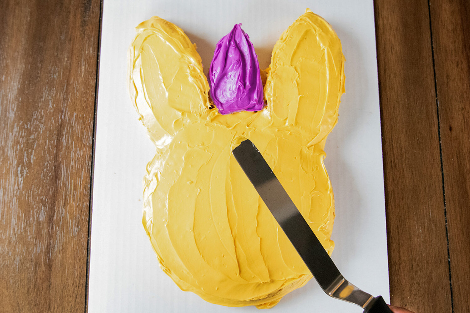 Donkey Hodie Birthday Cake | Recipes for Kids | PBS KIDS for Parents