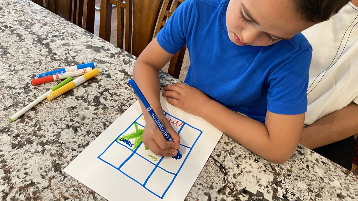 Bingo de observación de la naturaleza |… | PBS KIDS for Parents