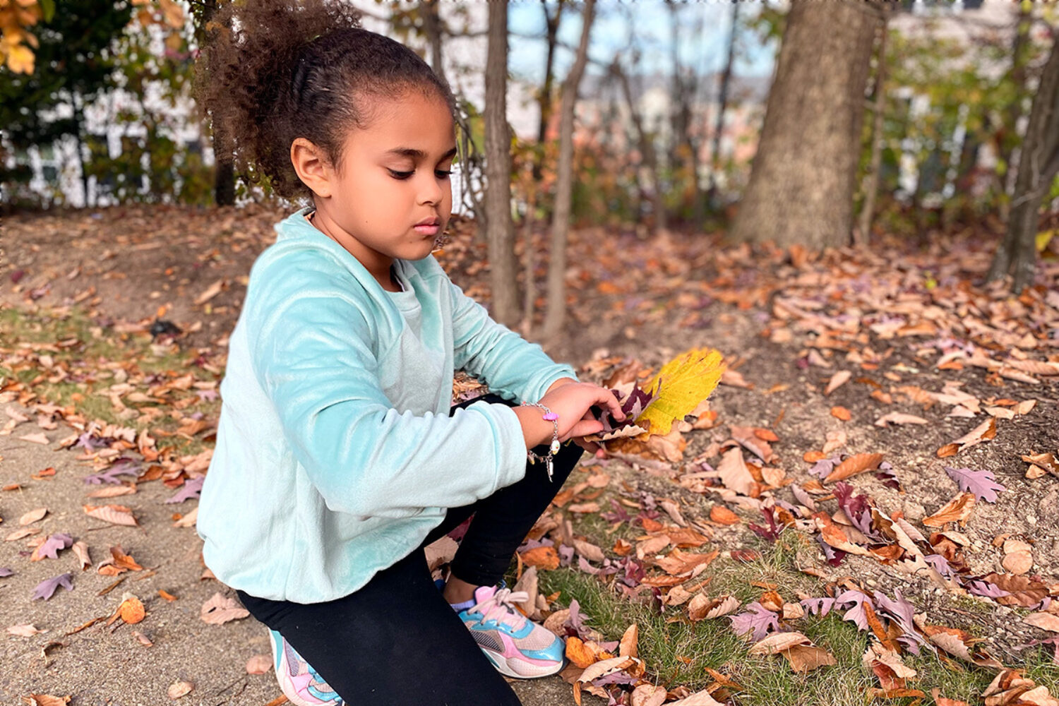 Make a Fall Leaf Color Wheel Wreath | Crafts… | PBS KIDS for Parents