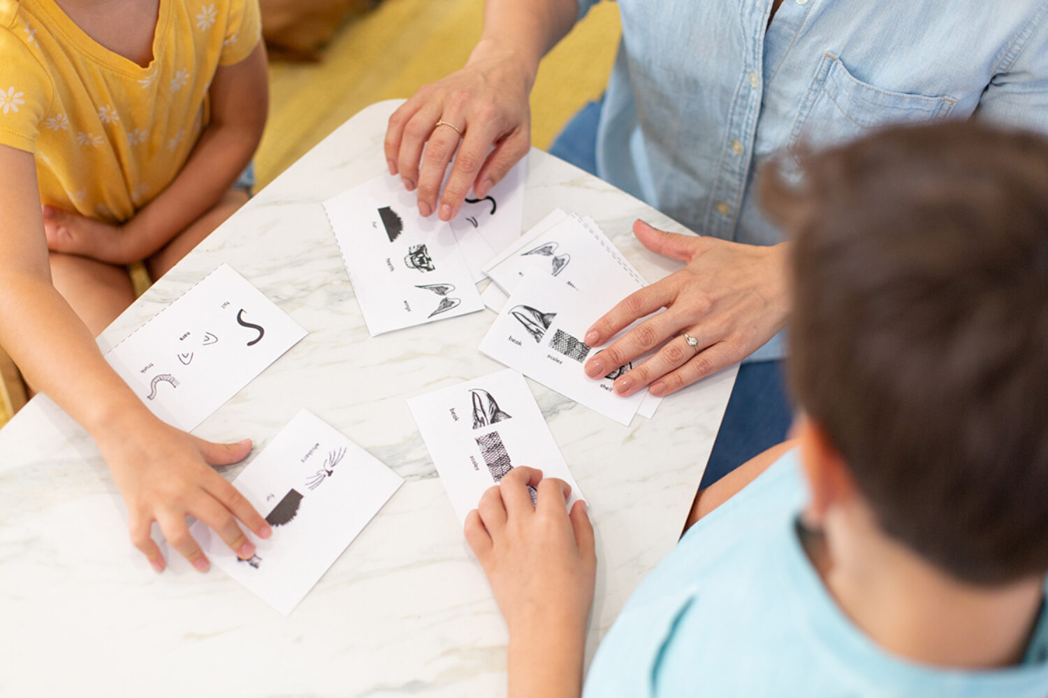 Amazing Animal Match-Up Game | Crafts for Kids | PBS KIDS for Parents