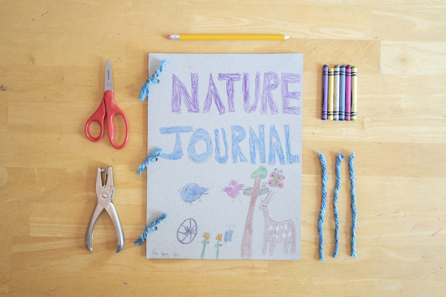 Make a Nature Journal to Observe Animals |… | PBS KIDS for Parents