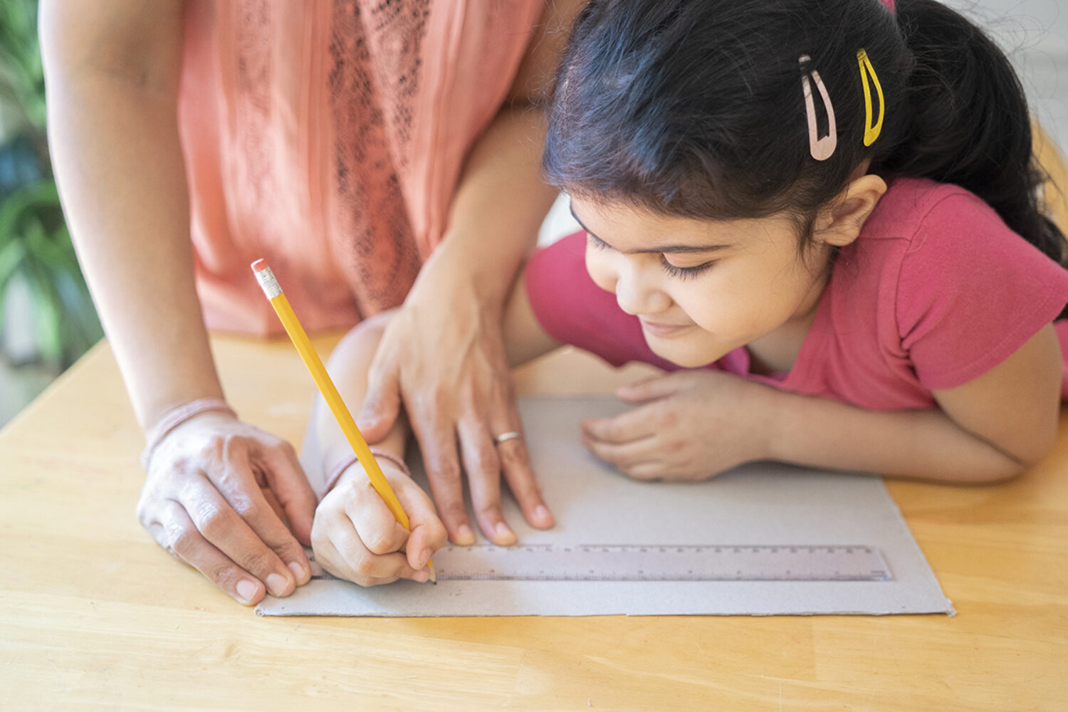 Make a Nature Journal to Observe Animals |… | PBS KIDS for Parents
