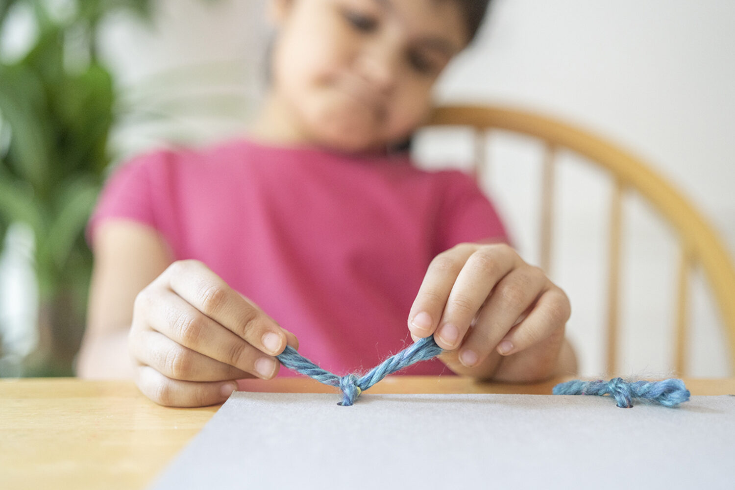 Make a Nature Journal to Observe Animals |… | PBS KIDS for Parents