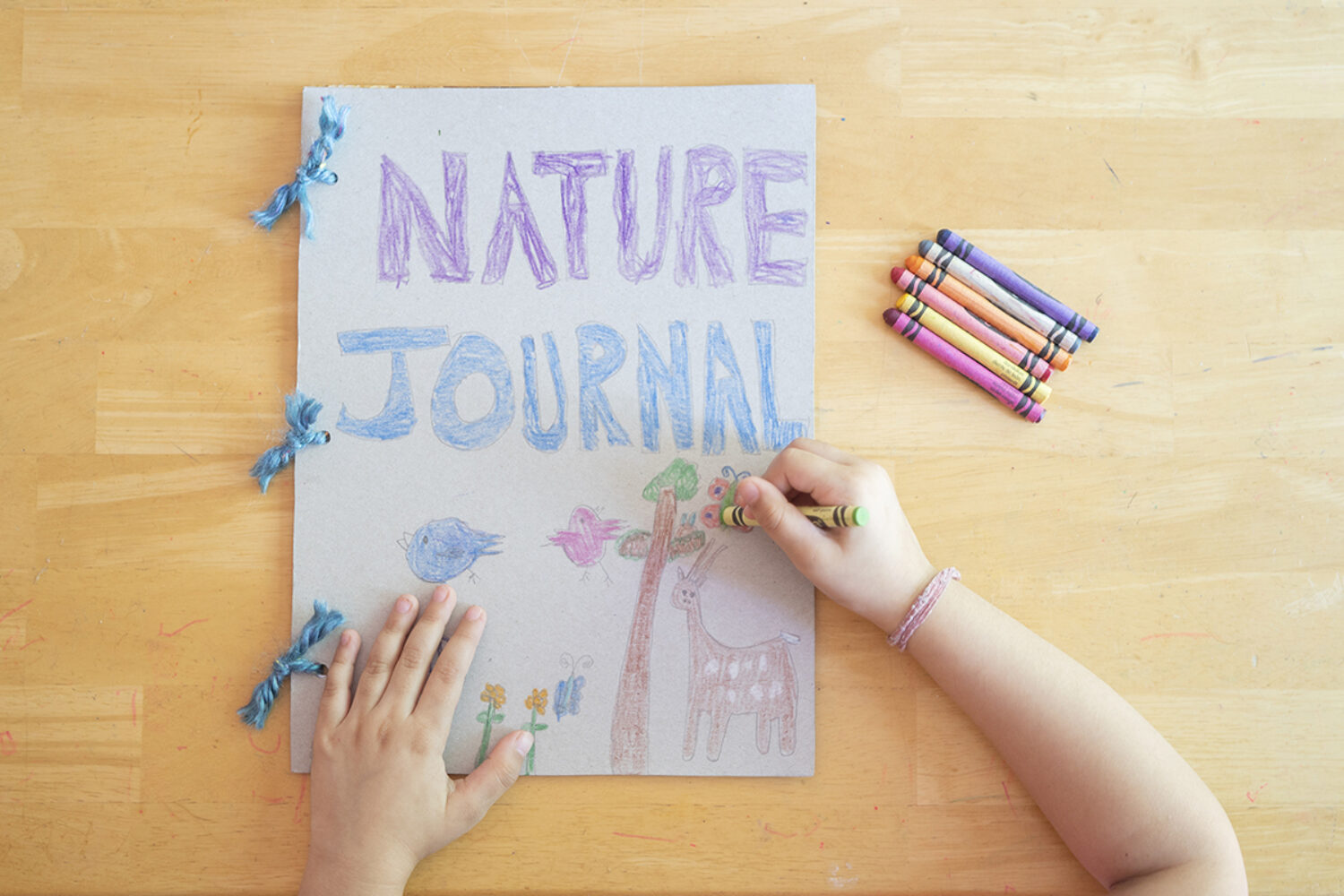 Make a Nature Journal to Observe Animals |… | PBS KIDS for Parents