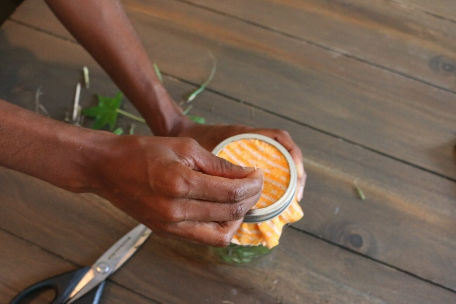 Make a Bug Jar | Crafts for Kids | PBS KIDS for Parents