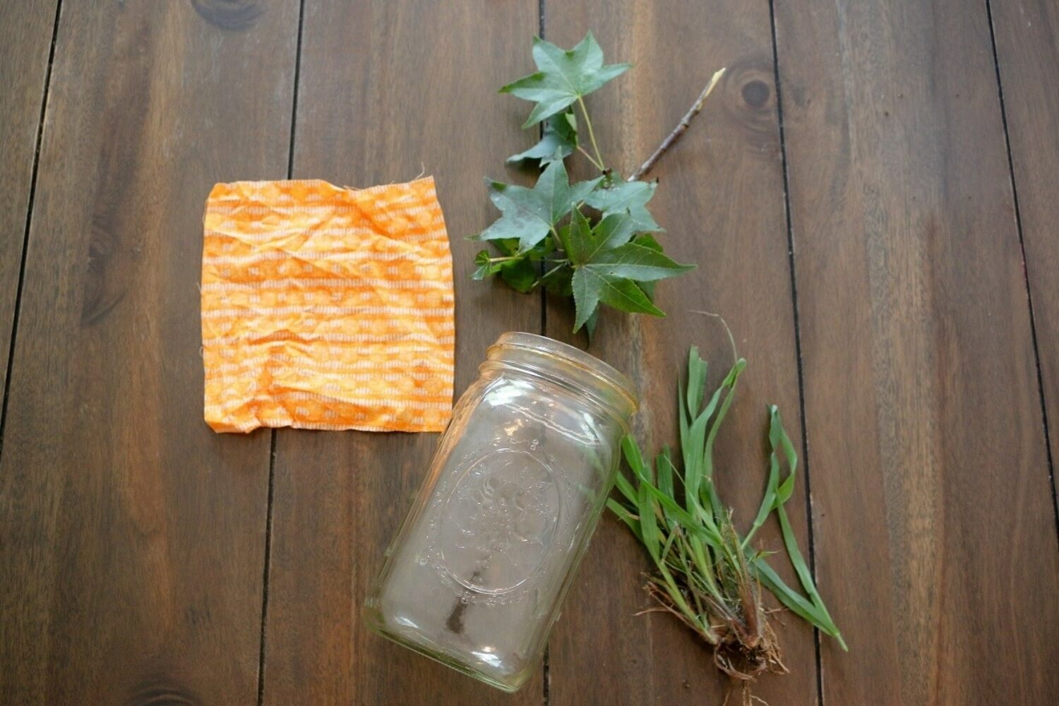 Make a Bug Jar | Crafts for Kids | PBS KIDS for Parents