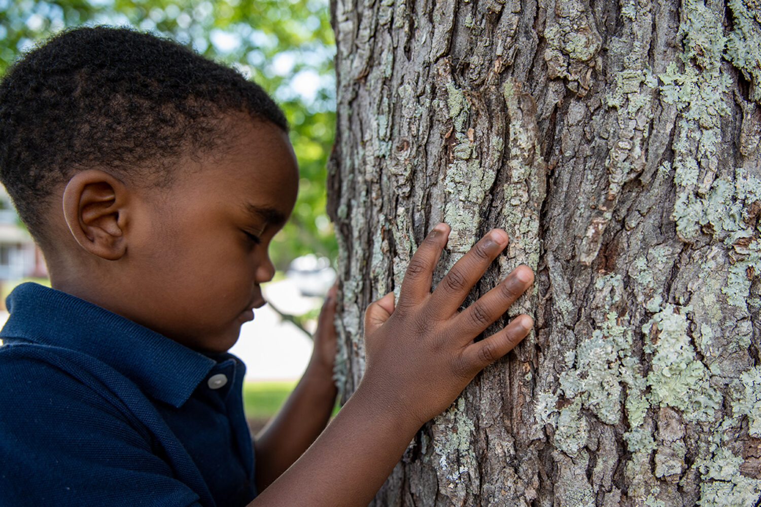 Make Leaf and Bark Rubbings | Crafts for Kids | PBS KIDS for Parents
