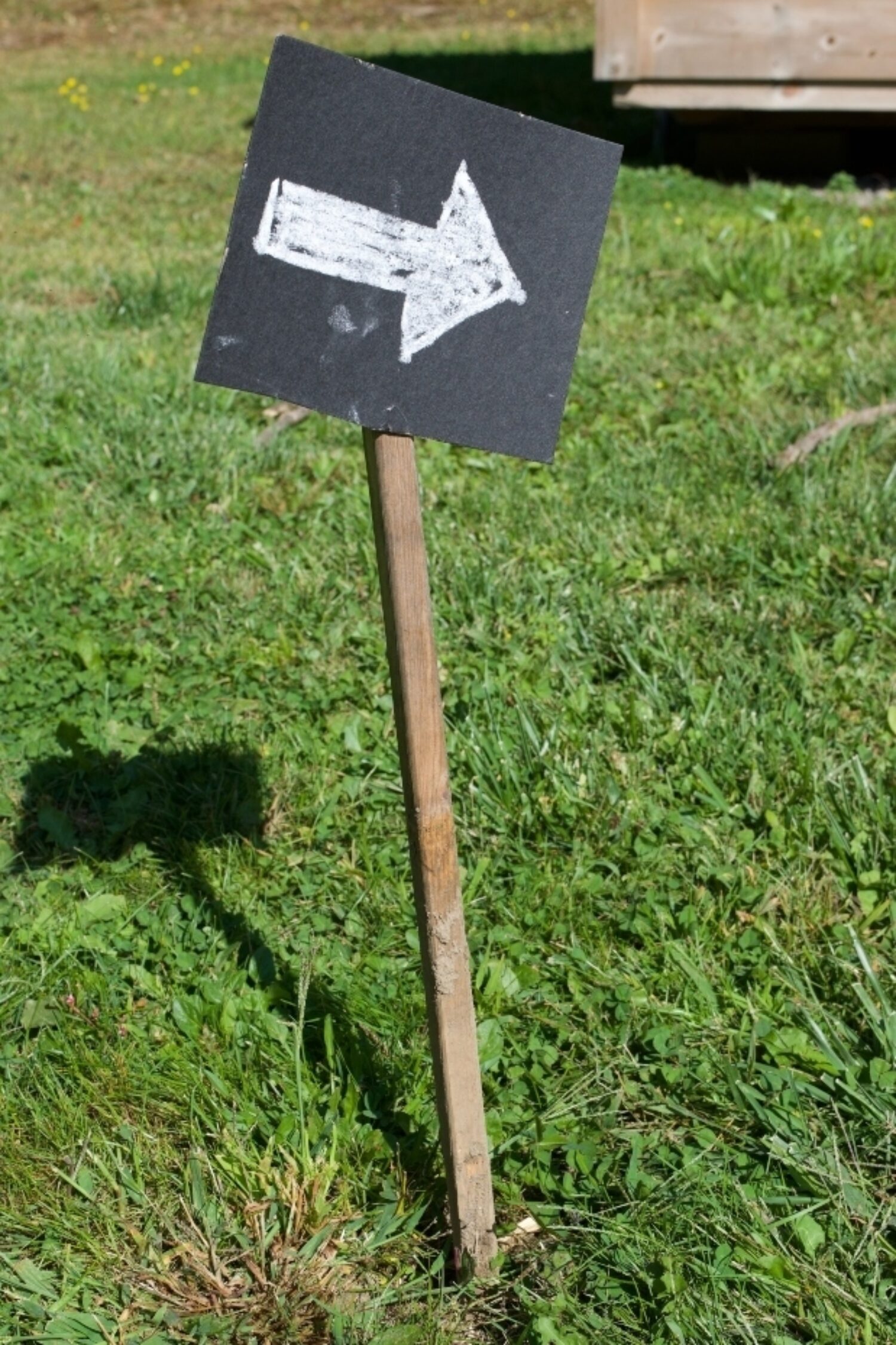 Nature Obstacle Course | Crafts for Kids | PBS KIDS for Parents