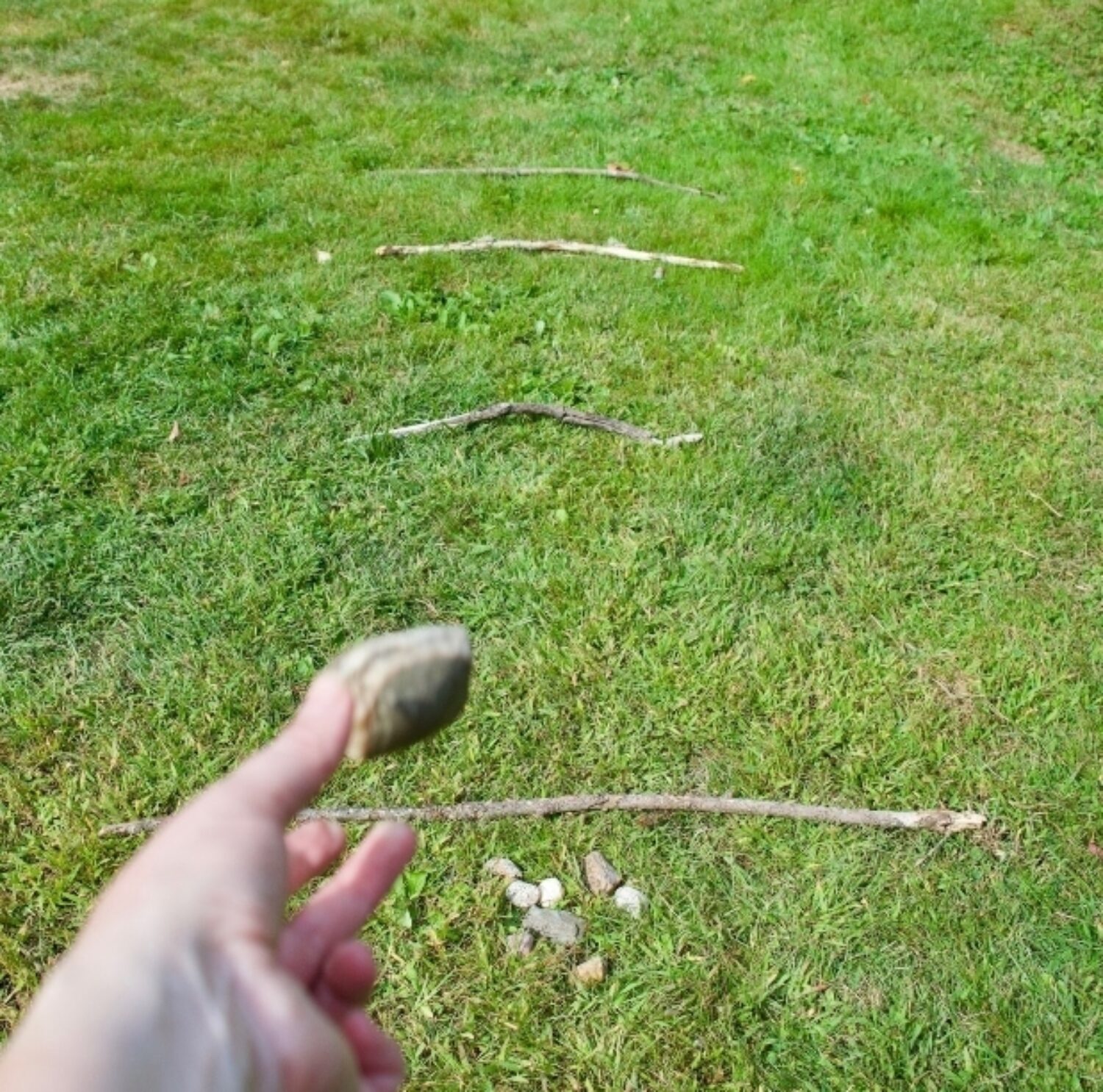 Nature Obstacle Course | Crafts for Kids | PBS KIDS for Parents