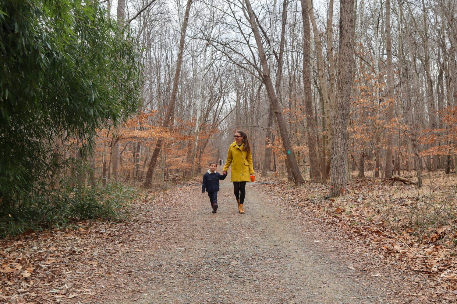 Take a Nature Walk and Make Art With Leaves |… | PBS KIDS for Parents