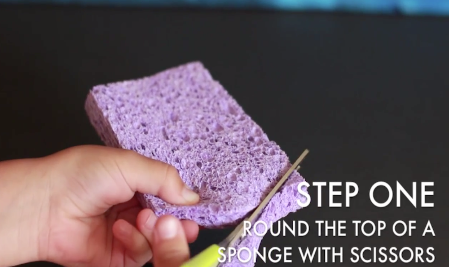 Sponge Bath Toy | Crafts for Kids | PBS KIDS for Parents