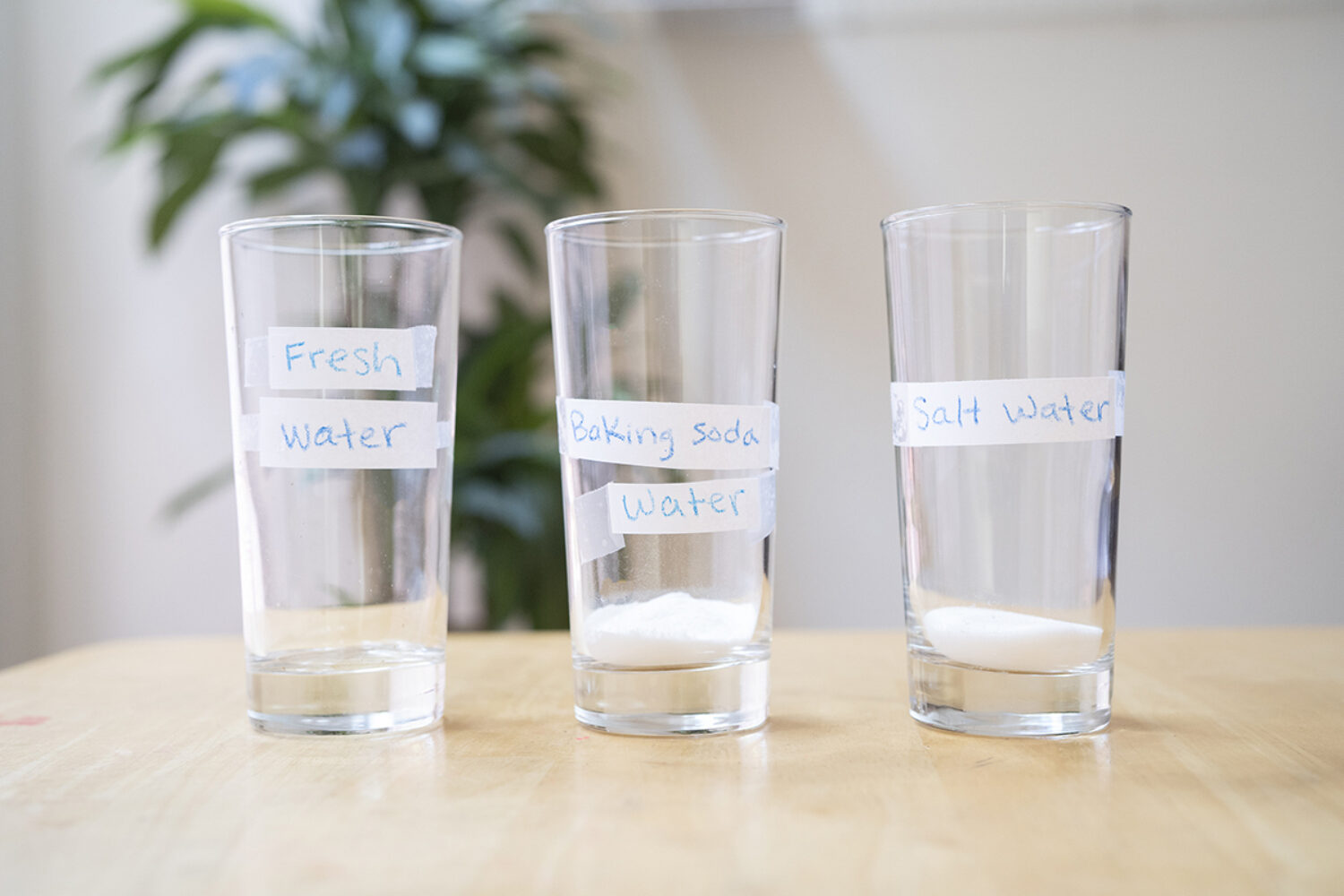 Sink or Float Experiment | Wild Kratts |… | PBS KIDS for Parents