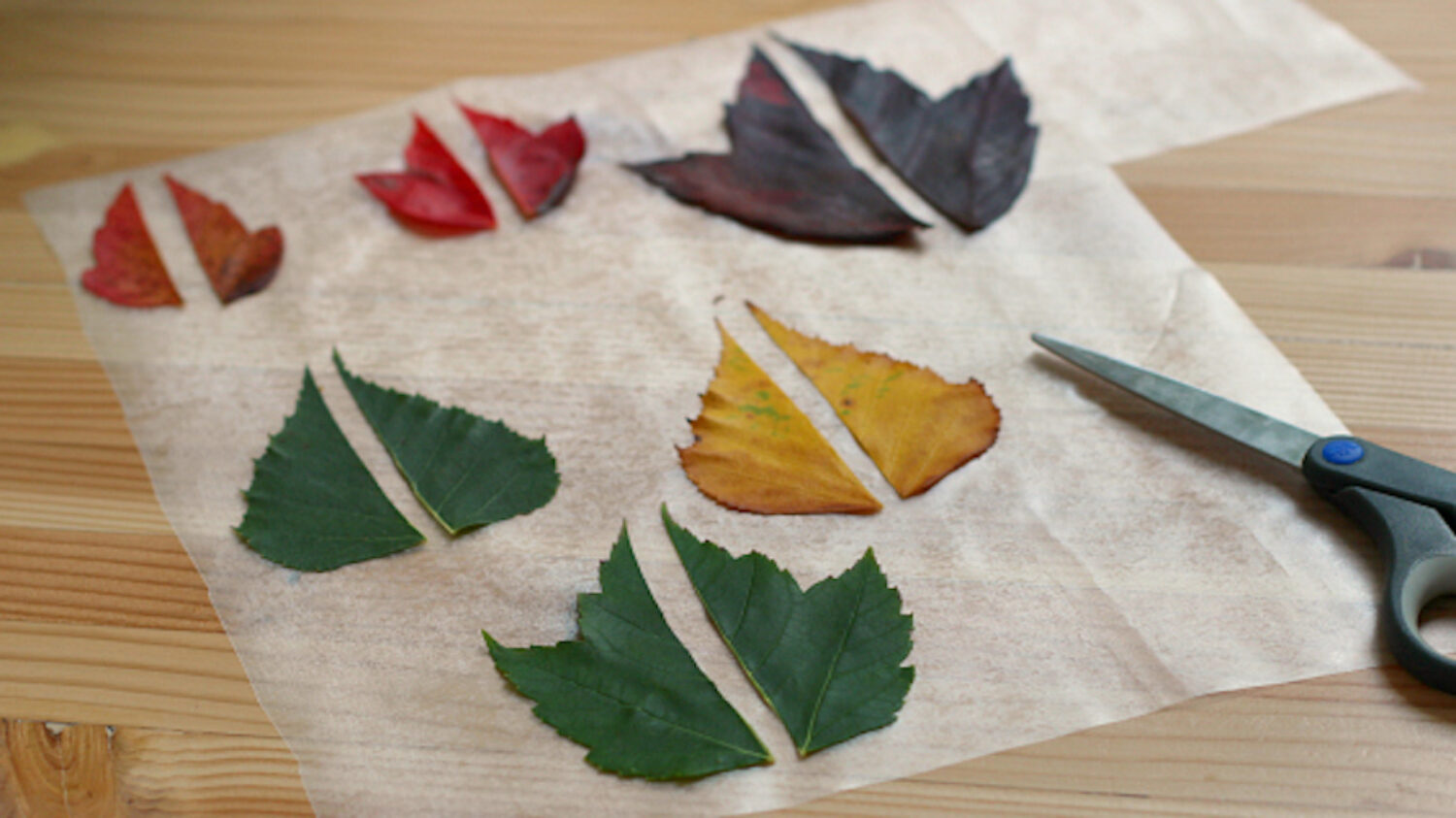 Find the Match: Simple Fall Leaf Puzzles |… | PBS KIDS for Parents