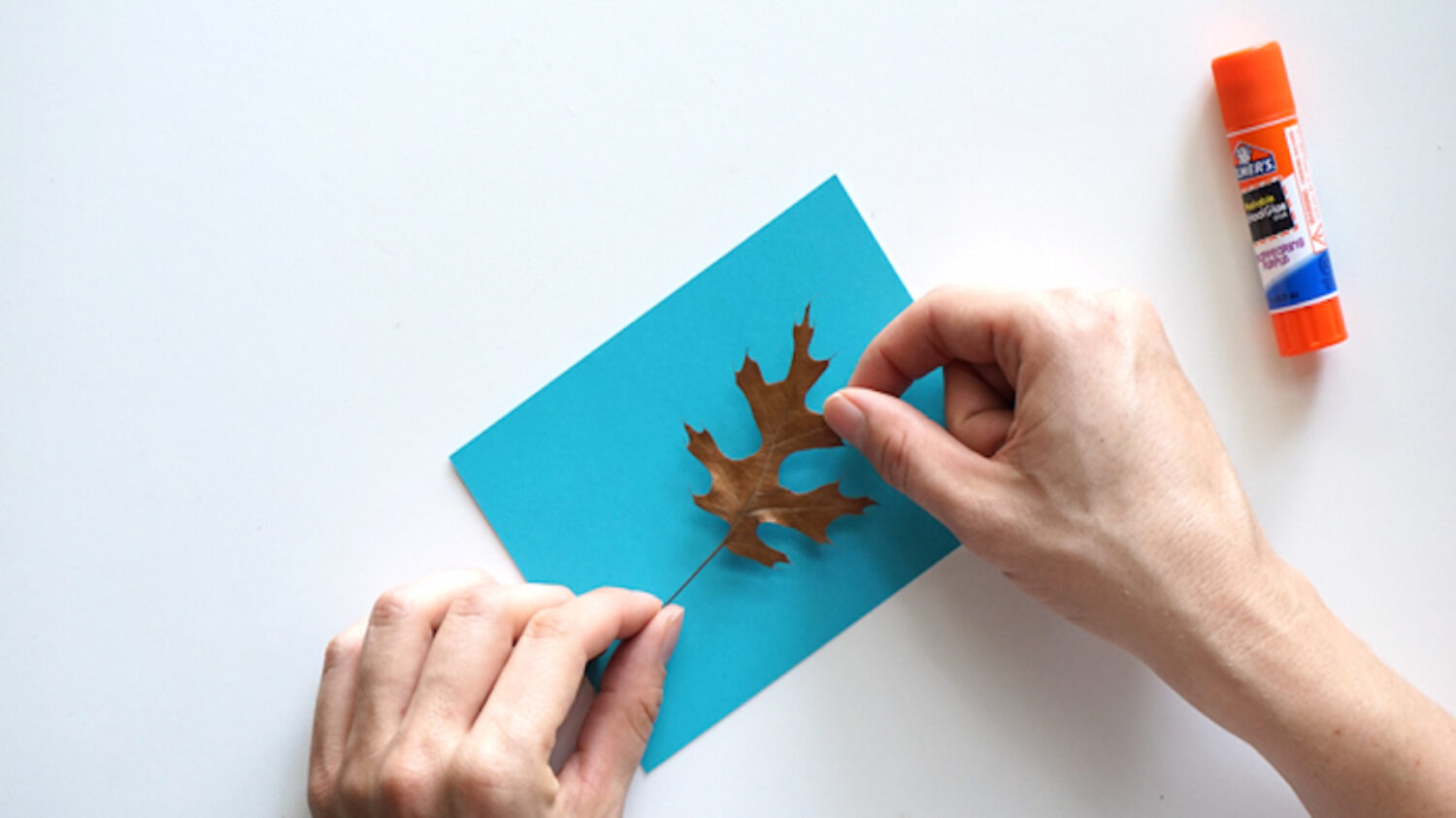 Fall Leaf Cards | Crafts for Kids | PBS KIDS for Parents