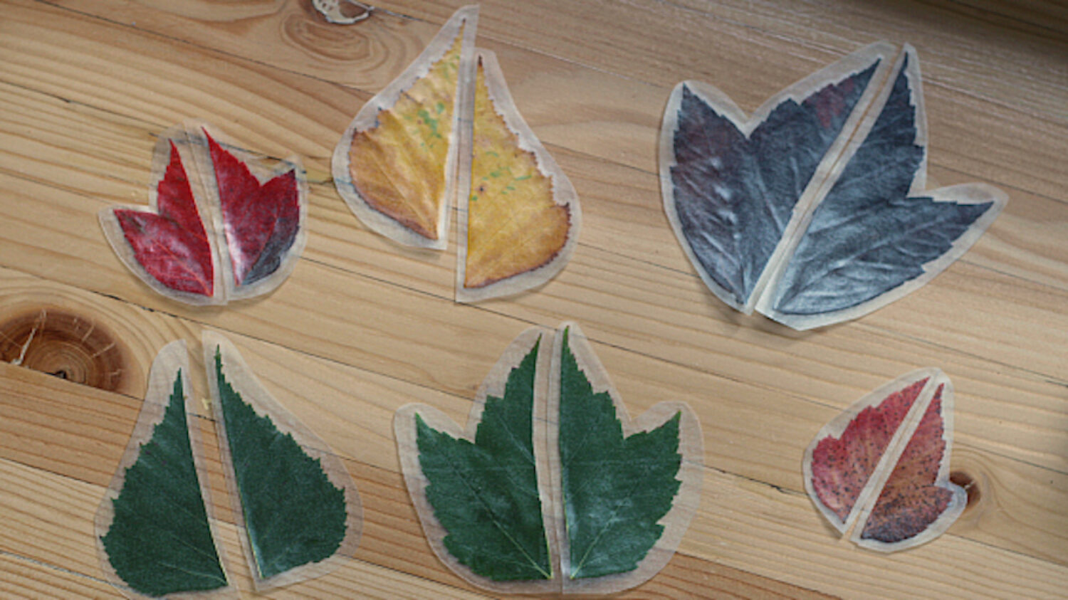 Find the Match: Simple Fall Leaf Puzzles |… | PBS KIDS for Parents