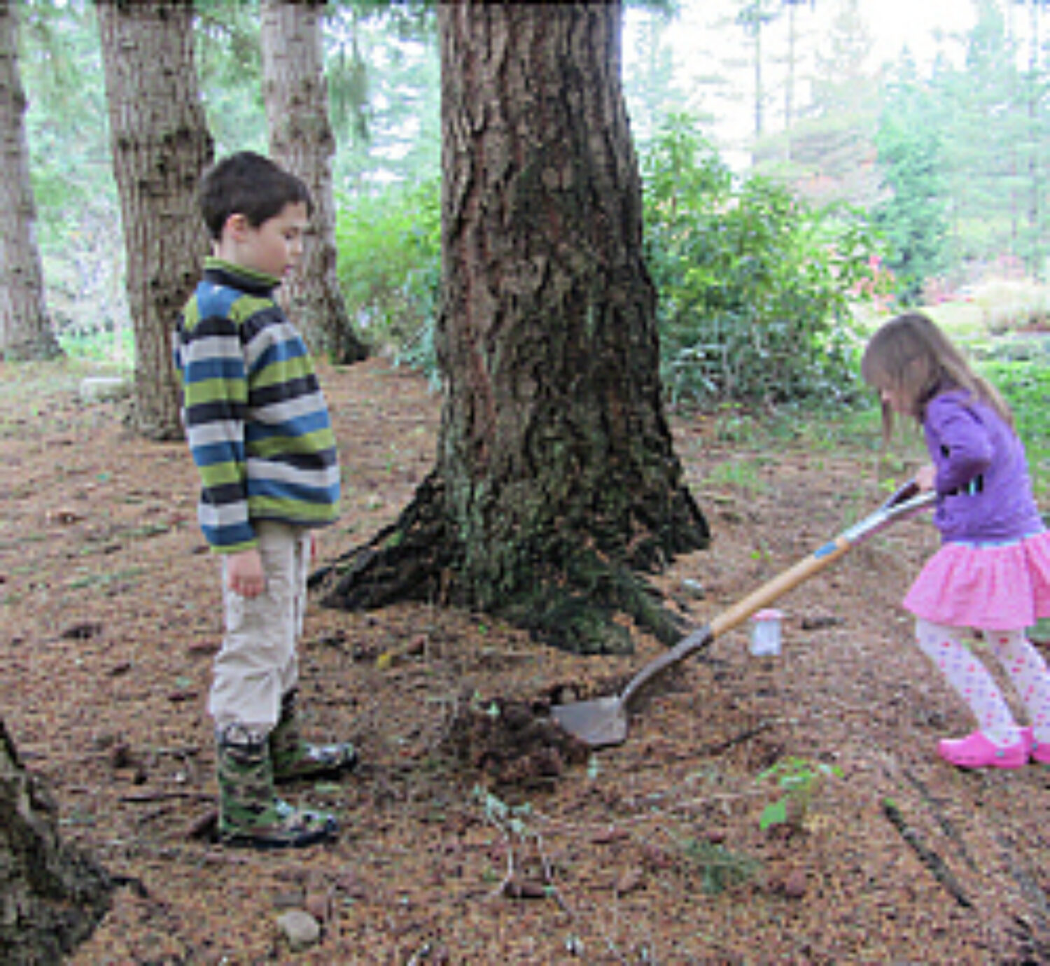 Thanksgiving Time Capsule | Crafts for Kids | PBS KIDS for Parents