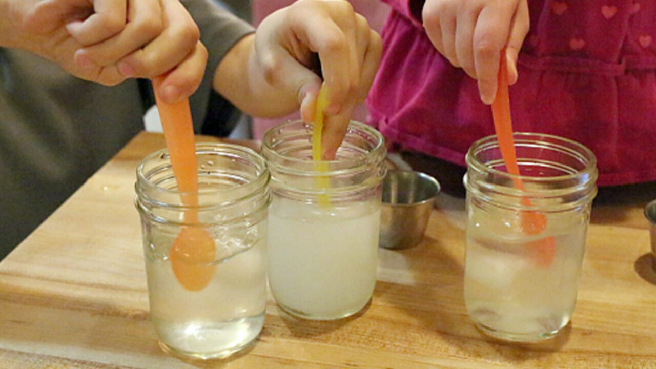 Ice Science Experiment: What Makes Ice Melt… | PBS KIDS for Parents